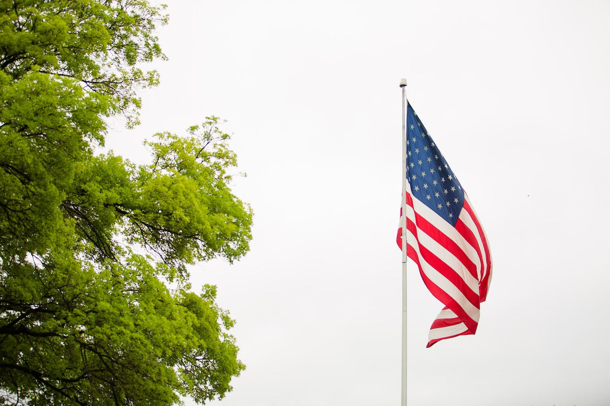 Choosing the Right American Flag for Your Flagpole | US Flags — Flags ...