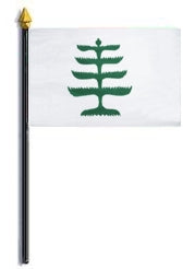 Pine Tree flag from Flags Unlimited